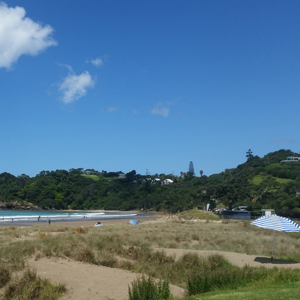 Sandy Bay, Tūtūkākā Coast | WhangareiNZ.com