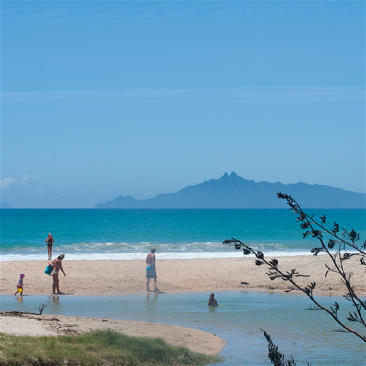Bream Bay and Waipū | WhangareiNZ.com