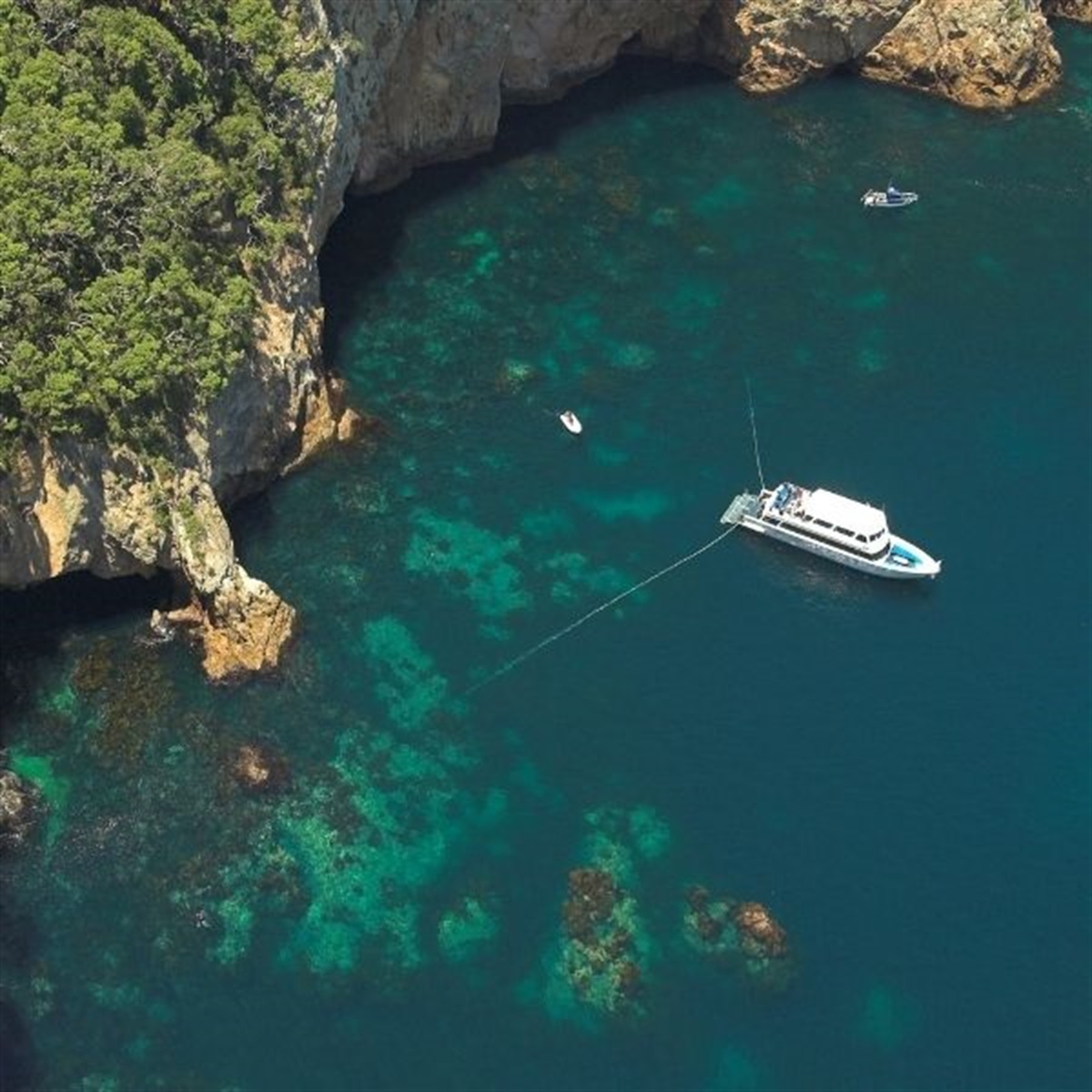 Sector information | WhangareiNZ.com