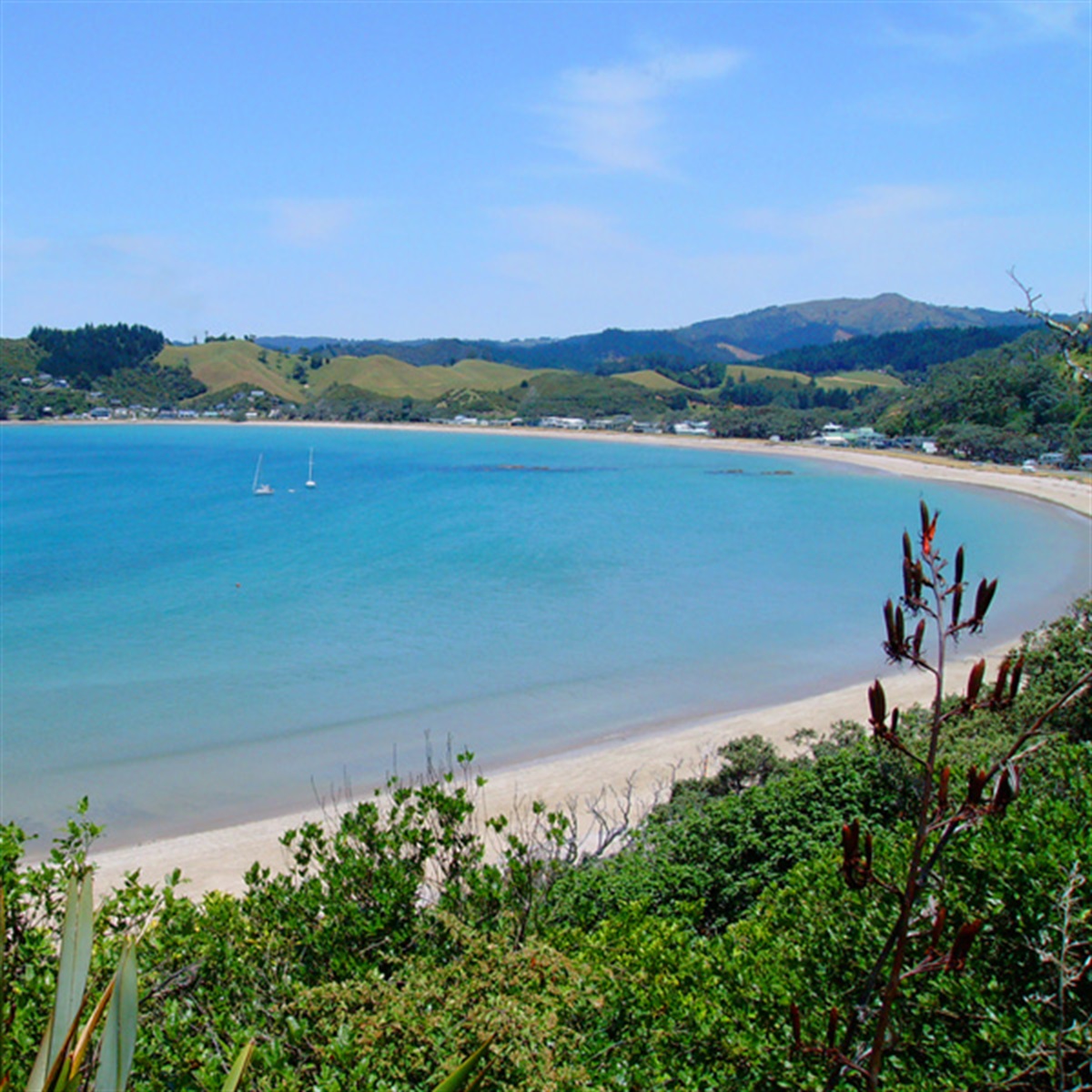 Ōakura Beach, Whangaruru | WhangareiNZ.com